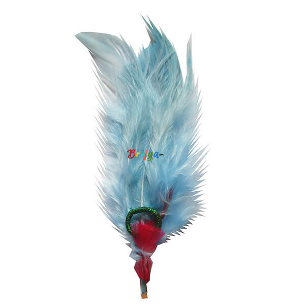 Beautiful Sky Blue Feather For Krishna Kalangi Brijya Beautiful Sky Blue Feather For Krishna Kalangi Brijya